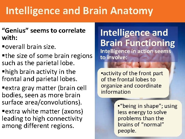 Chapter 10 Intelligence Powerpoint presentation by Jim Foley