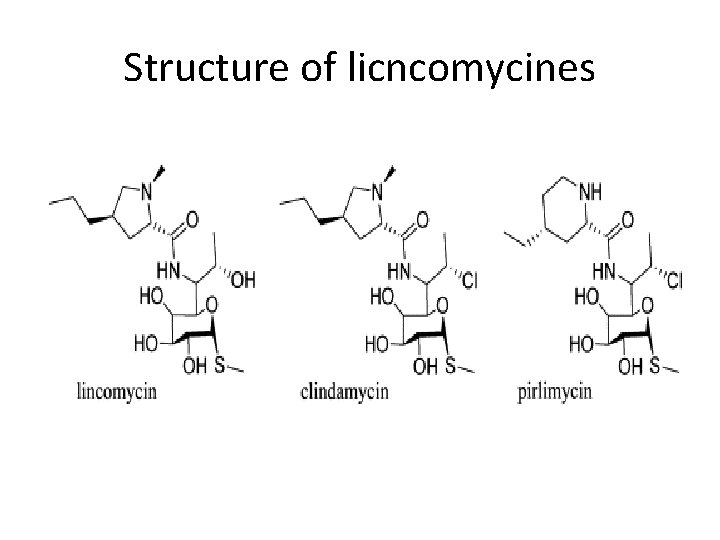 8 th lecture in antibiotics biotechnology Other protein
