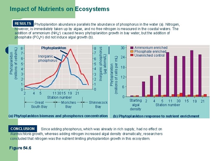 The Living World Nutrient Cycles Carbon Water Nitrogen