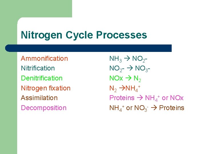The Living World Nutrient Cycles Carbon Water Nitrogen