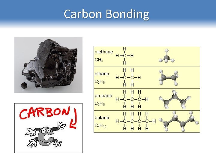 Course Overview for Term 5 What are we