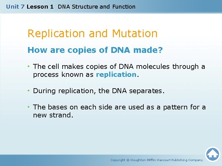 Unit 7 Lesson 1 DNA Structure and Function