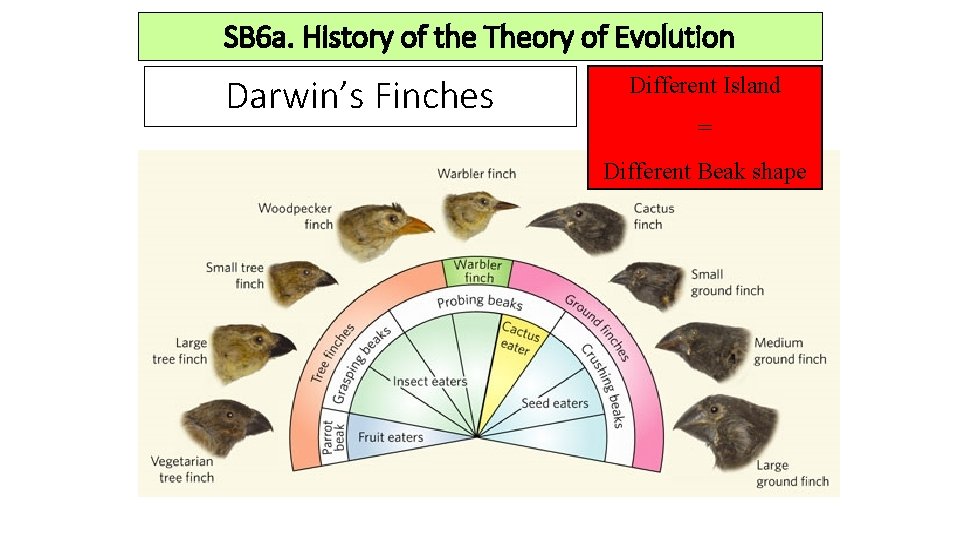 Unit 1 Stability and Change in Populations Over