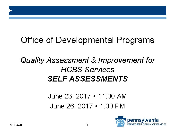 Office of Developmental Programs Quality Assessment Improvement for