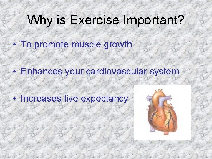 The Importance of Exercise Matt Beaver Why is