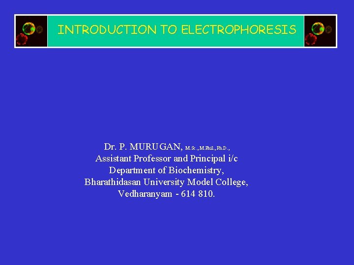 INTRODUCTION TO ELECTROPHORESIS Dr P MURUGAN M Sc