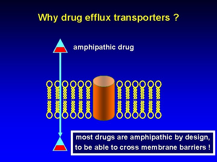 Antibiotic efflux pumps in eucaryotic cells consequences for