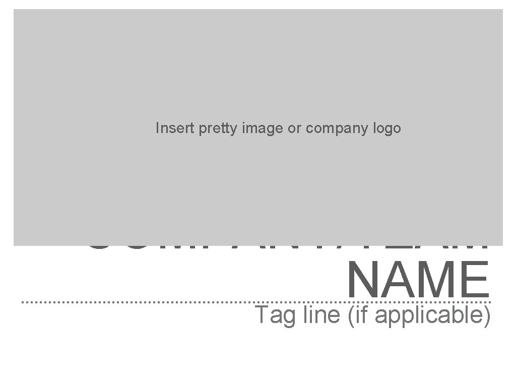 Insert pretty image or company logo INSERT COMPANYTEAM