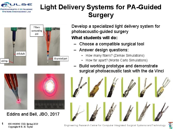 Light Delivery Systems for PAGuided Surgery Develop a
