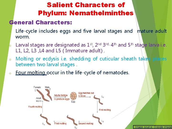 Salient Characters of Phylum Nemathelminthes Dr AJIT KUMAR