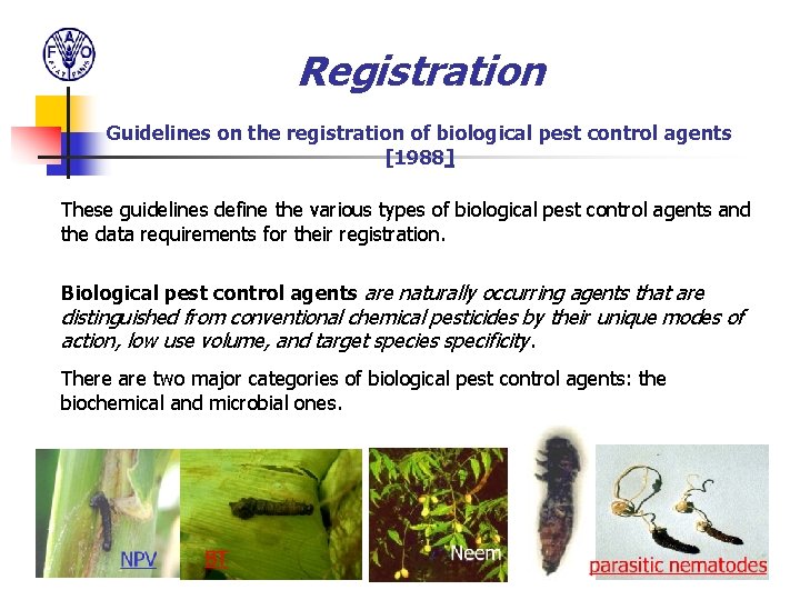 Code of Conduct on Pesticide Management A brief