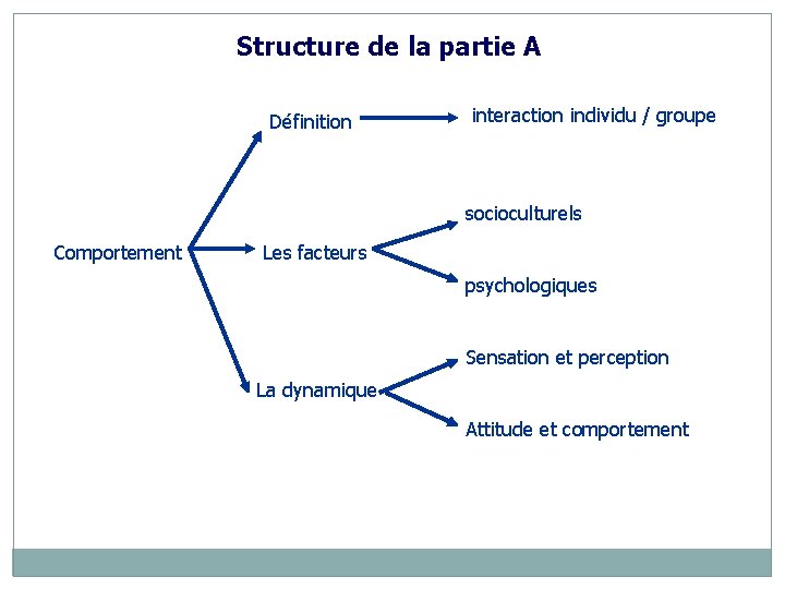 Structure de la partie A Dfinition interaction individu