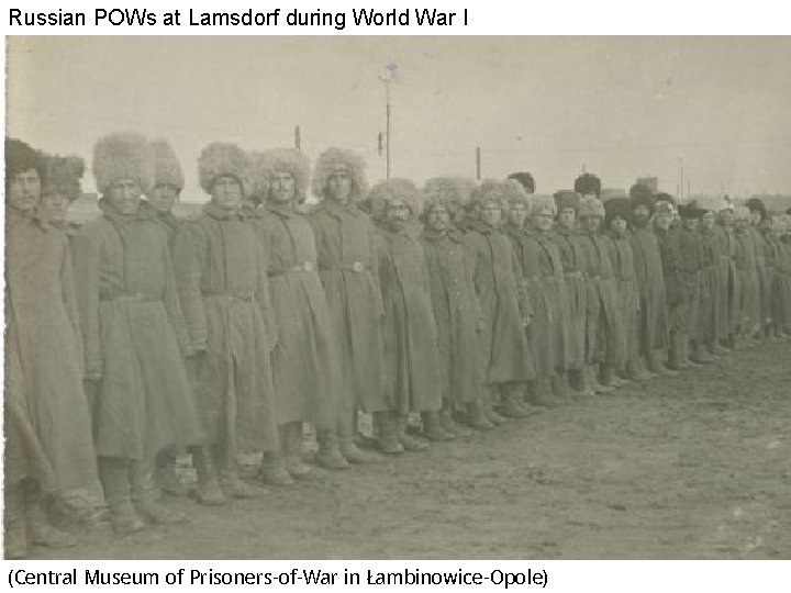 Why were camps at Lamsdorfambinowice built Why were