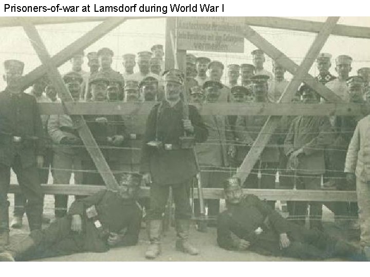 Why were camps at Lamsdorfambinowice built Why were