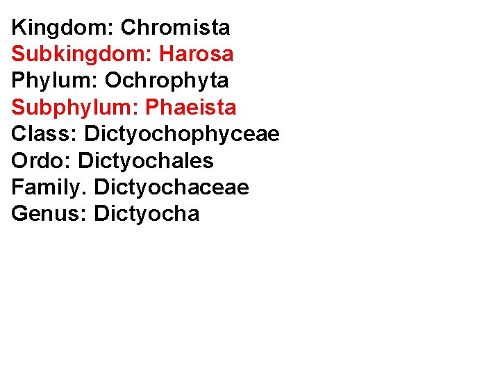 Regnum Animalia Subregnum Protozoa Class Flagellata Superkingdom Eukaryota