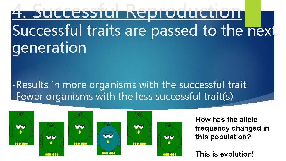 Natural Selection Explanation HONORS NINTH GRADE SCIENCE Natural
