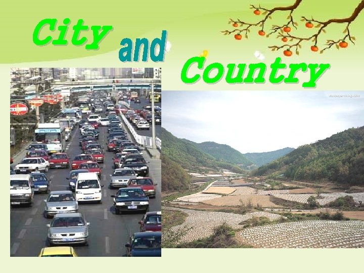 Unit 1 Lesson 4 City and Country City