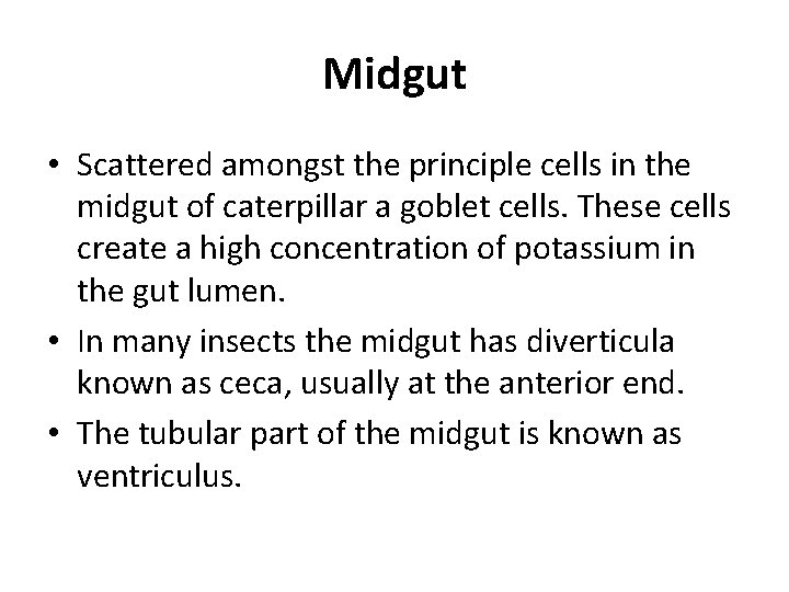 Internal anatomy Digestion and Excretion FOREGUT MIDGUT HINDGUT