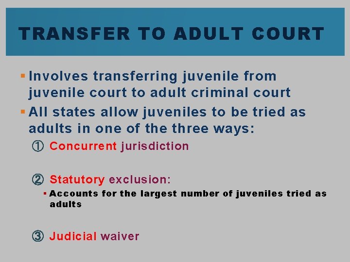 CHAPTER 13 JUVENILE COURT PROCESS PRETRIAL AND SENTENCING