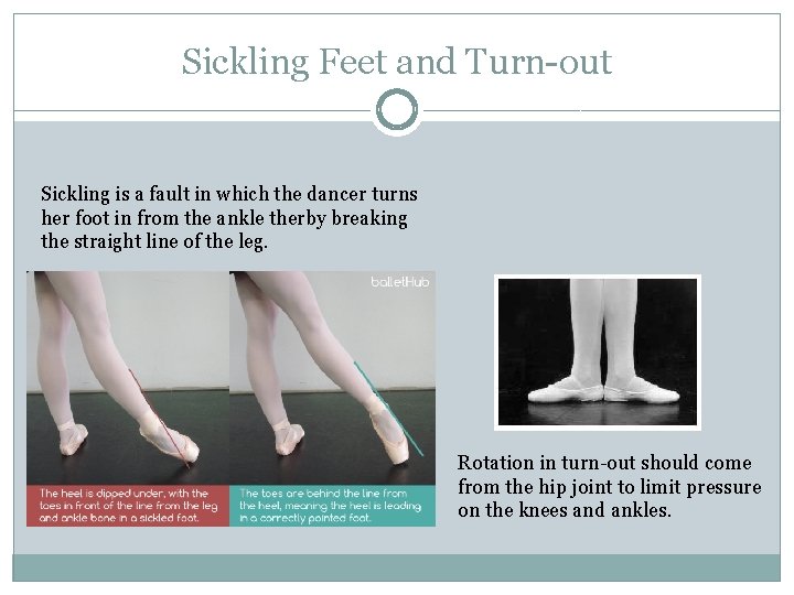 History of Ballet Vocabulary Pli to bend Tendu