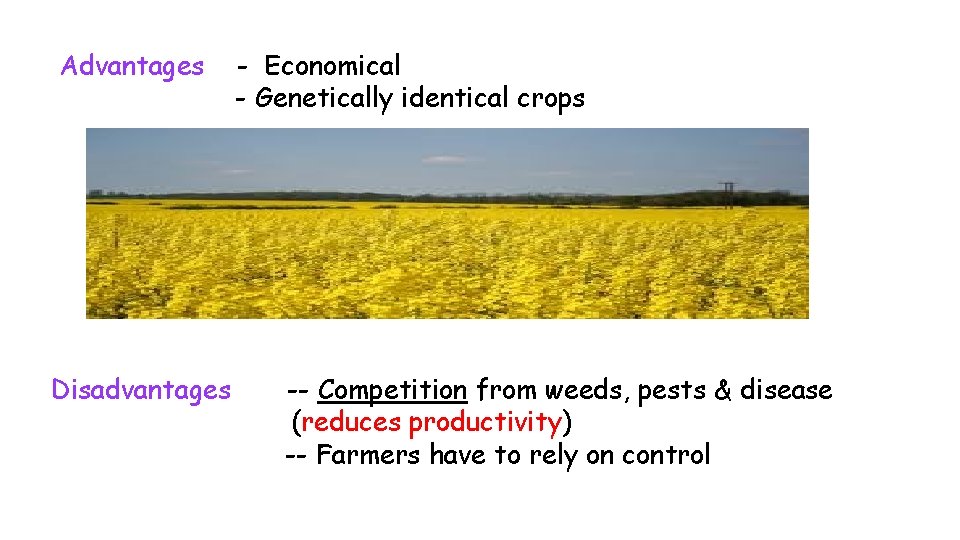 Sustainability Interdependance Key Area 3 a Weeds Learning