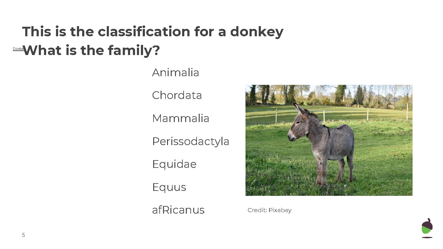 Ecological relationships and classification Lesson 7 Classifying Living