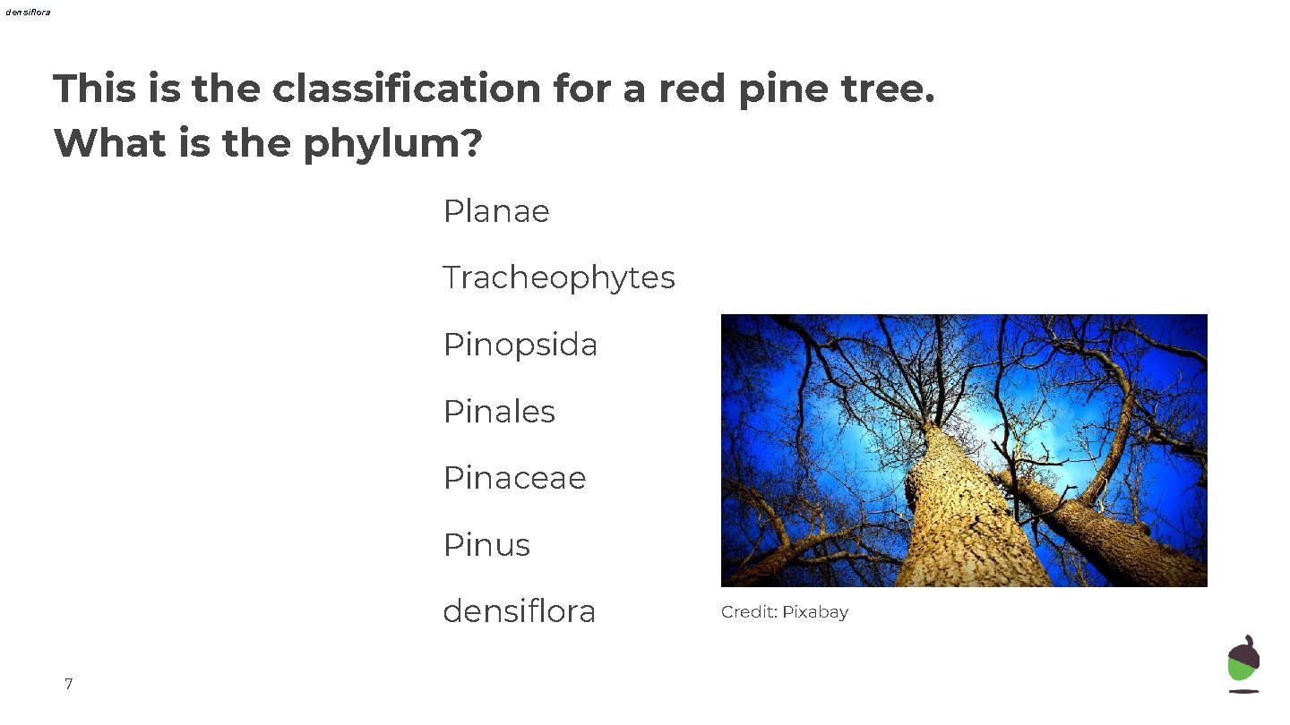 Ecological relationships and classification Lesson 7 Classifying Living