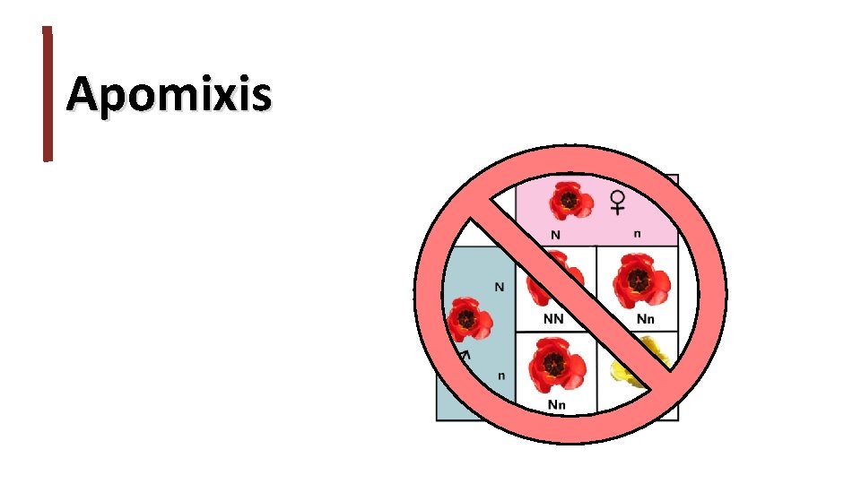 Asexual Reproduction Part 1 PBG 430 Asexual reproduction