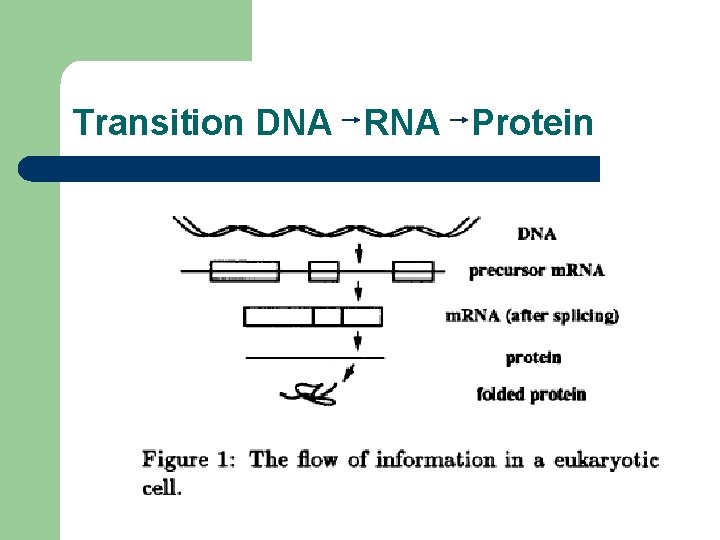 Applying AI to Human Genome Part 1 Collecting