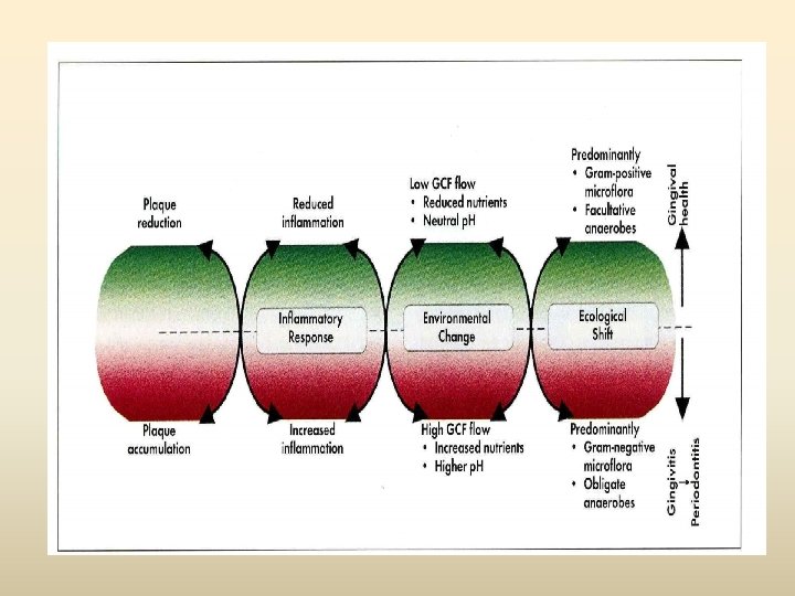 MECHANICAL PLAQUE CONTROL J E CBackground TMechanical plaque