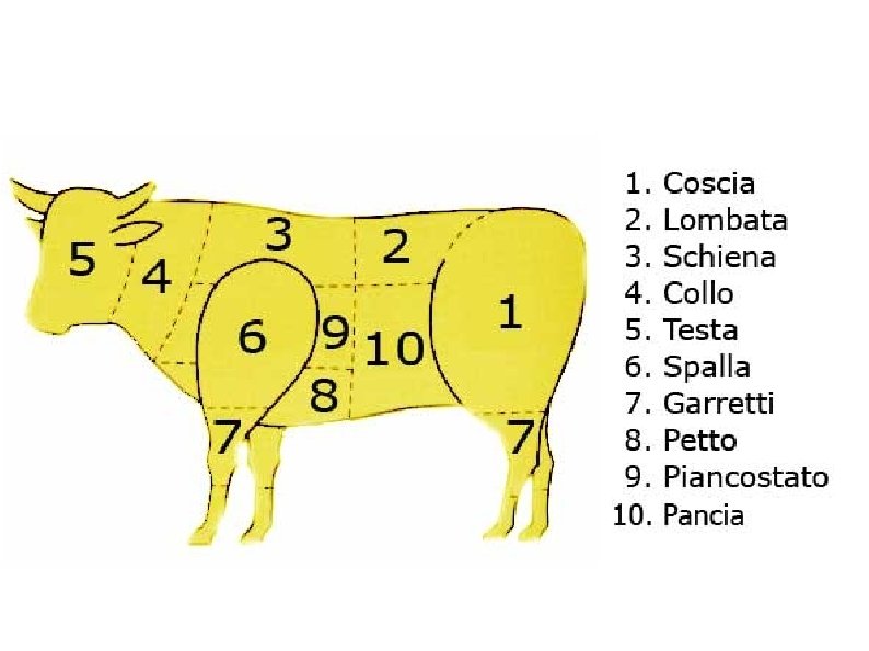LE CARNI LA CARNE E I SUOI DERIVATI