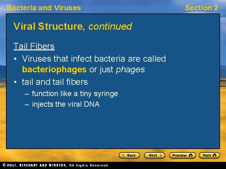 Bacteria and Viruses Section 2 Viruses Section 2