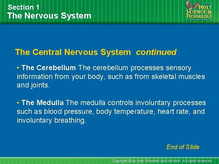 Section 1 The Nervous System Warm Up List
