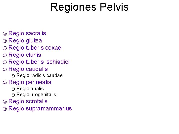 Regiones Pelvis Leen blgeleri Do Dr Burcu ONUK