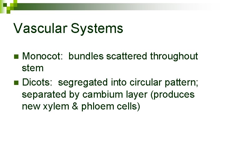 Basic Plant Parts STEMS What type of plant