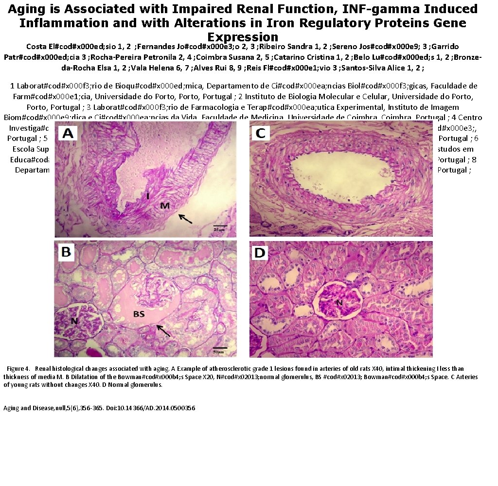 Aging is Associated with Impaired Renal Function INFgamma