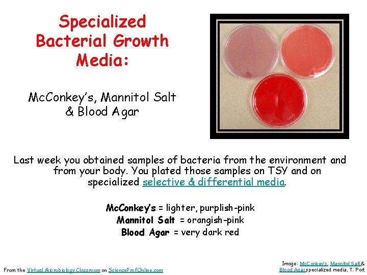About Science Prof Online Power Point Resources Science