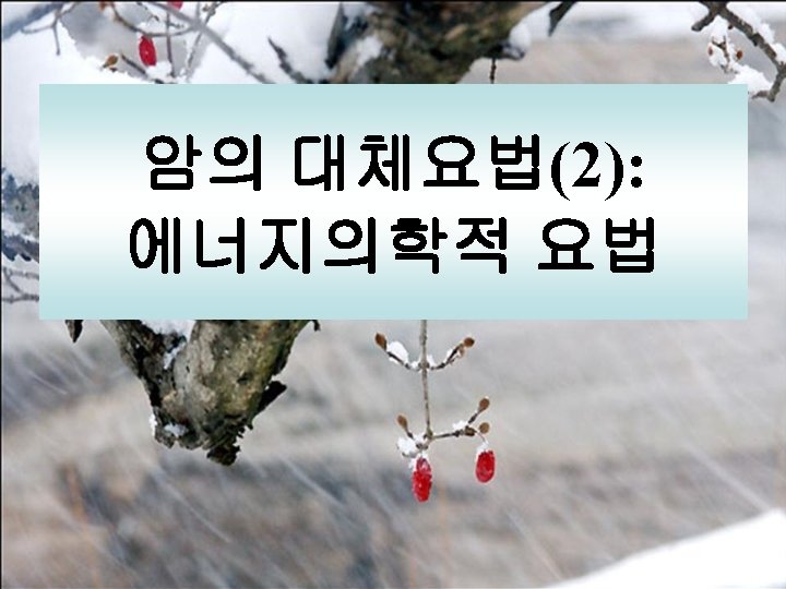 Bob Beck 1 Zapper Bob Beck 2 Magnetic