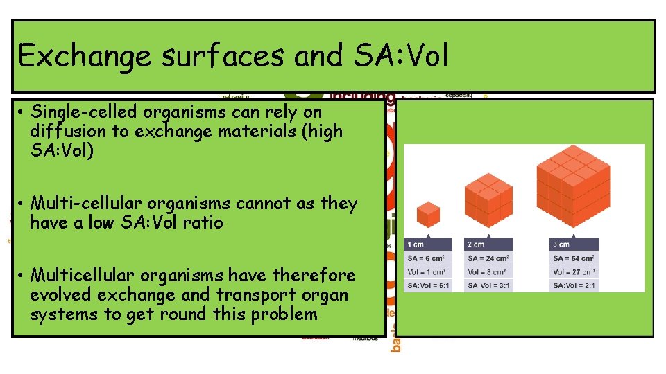 B 3 Moving and Changing Materials Key Concepts