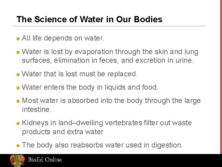 How Much Water Do Humans Need The Science