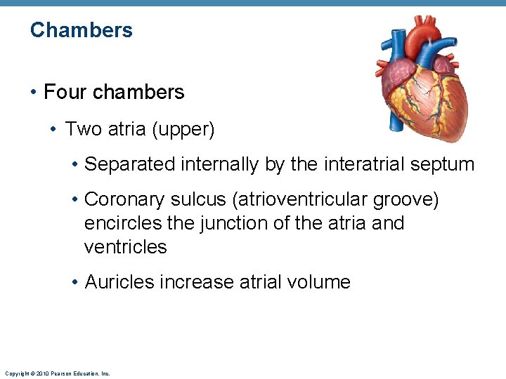 Learning Plan 8 A Ch 18Heart Marieb College