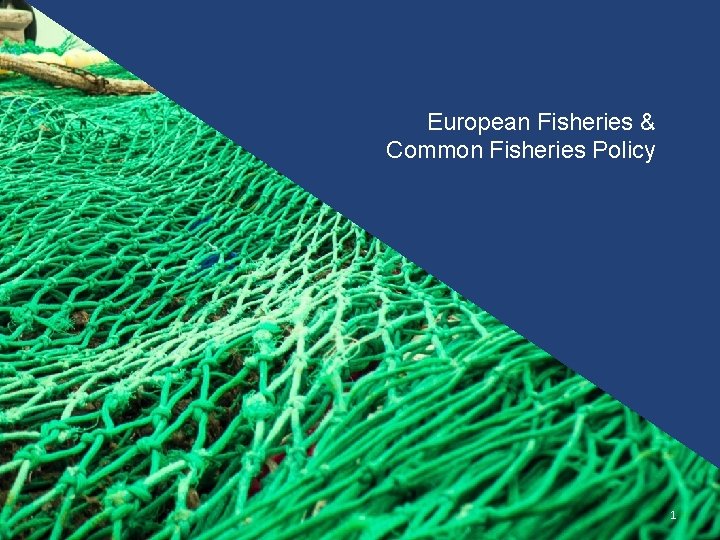 European Fisheries Common Fisheries Policy 1 European Fisheries