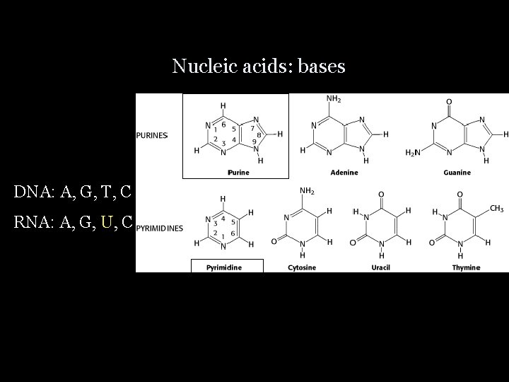 Mechanical Force and Biomolecules Lecture 2 Overview of