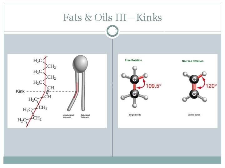 Lipids PACKET 10 CAMPBELLCHAPTER 5 Introduction 2 Contain