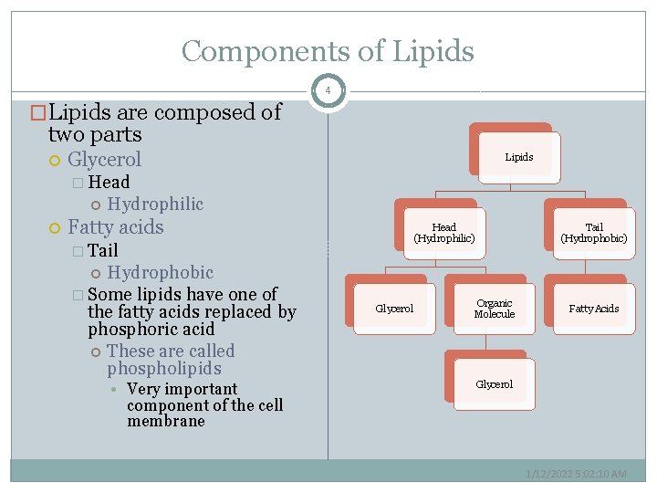 Lipids PACKET 10 CAMPBELLCHAPTER 5 Introduction 2 Contain