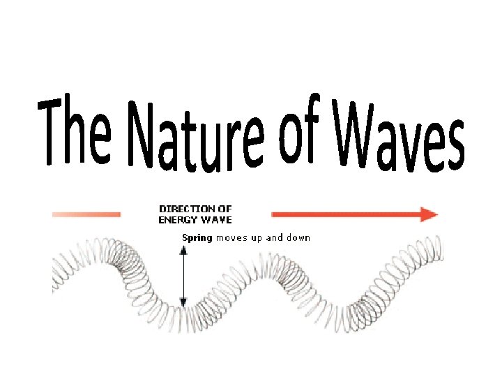 List the different types of waves present in