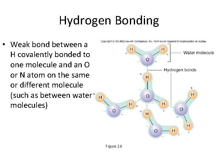 Microbiology A Systems Approach 2 nd ed Chapter