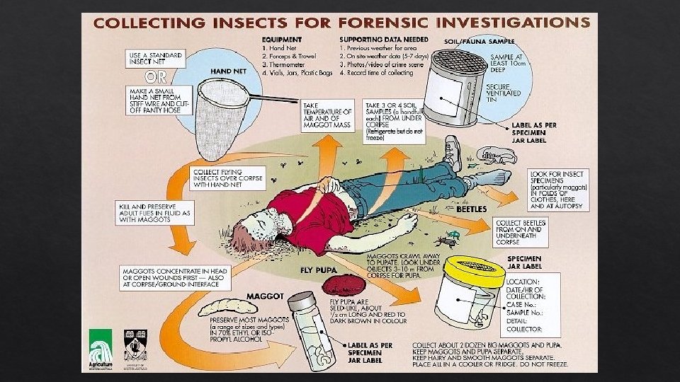 Investigation of Death Introduction to manner mechanism cause