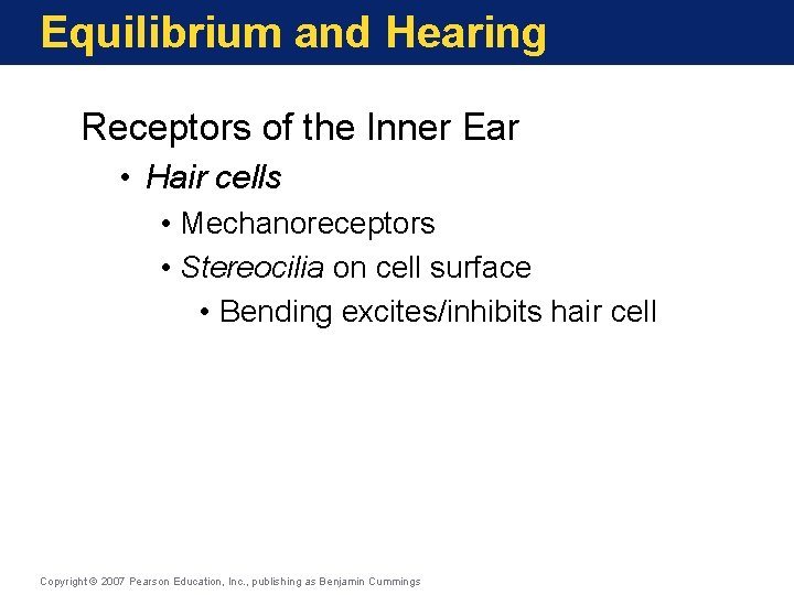 The Senses The General Senses Sensory receptors Specialized