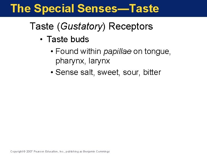 The Senses The General Senses Sensory receptors Specialized